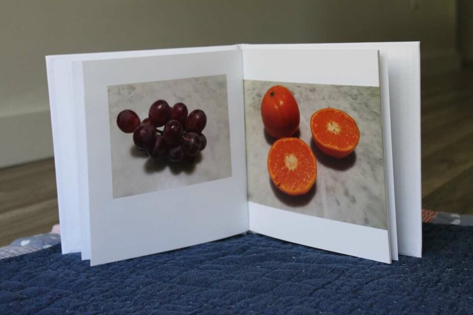 Montessori Baby Books - Food Edition (Great for Toddlers Too!)