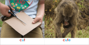 Montessori Kids Book - How to Teach Silent e Montessori Early Reader