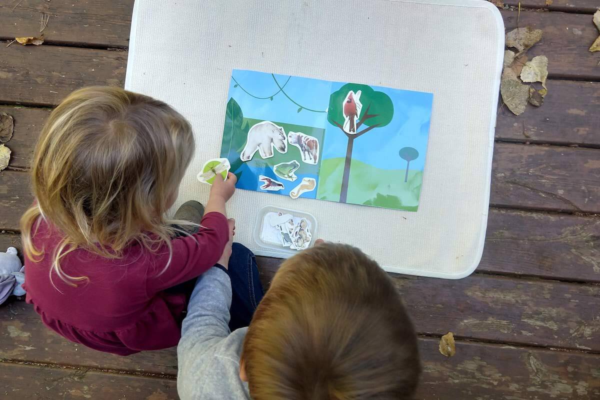 Montessori DIY - Land, Air, Water - Takes 10 Minutes!